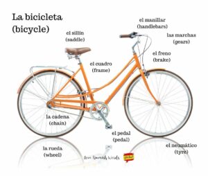 Spanish Word of the Day: Bicicleta (bicycle) - Love Spanish Words