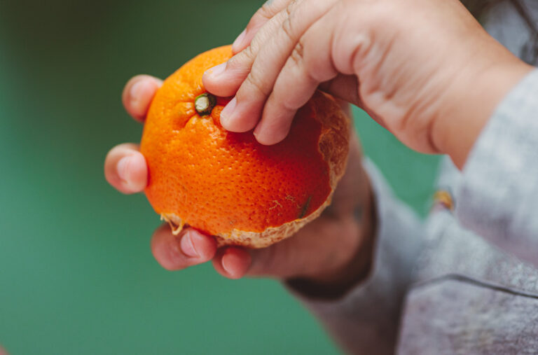 Spanish Word of the Day: Naranja (orange) - Love Spanish Words