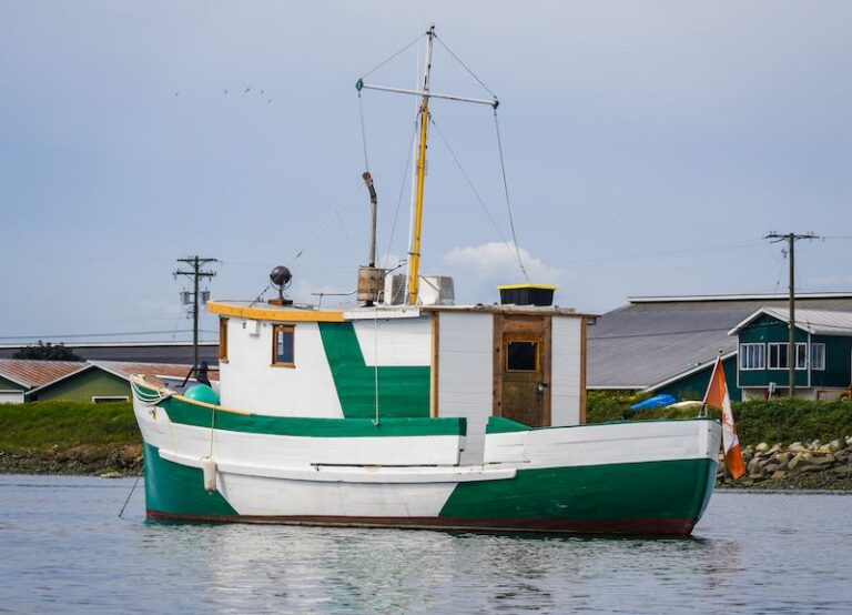 Spanish Word of the Day: Barco (ship / boat) - Love Spanish Words