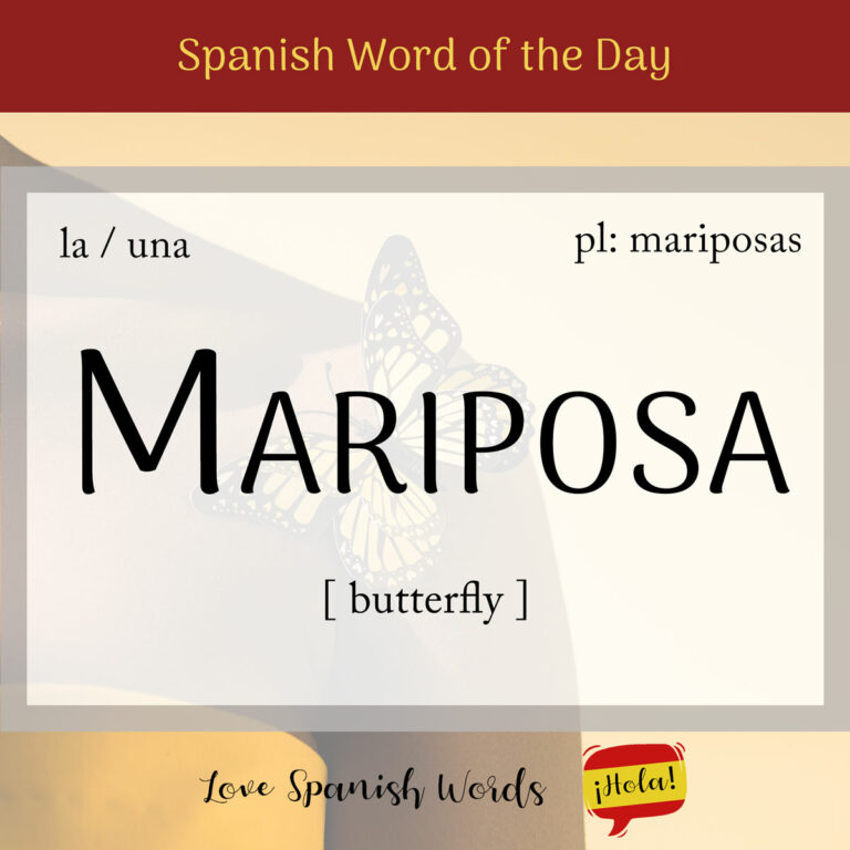 Spanish Word of the Day: Mariposa (butterfly) - Love Spanish Words