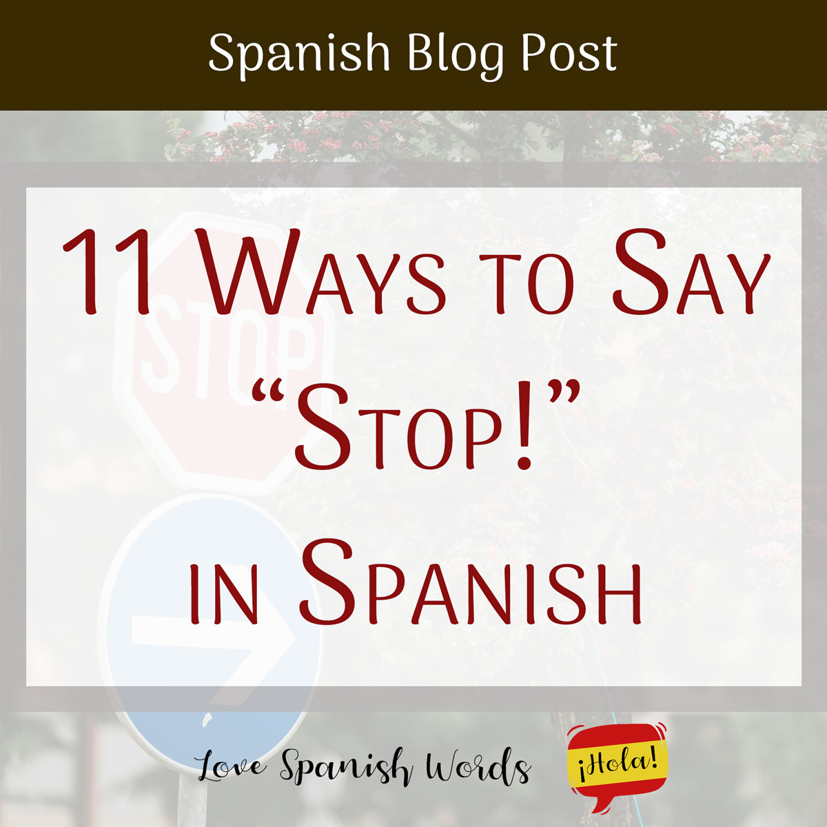 11 Ways To Say Stop In Spanish Love Spanish Words