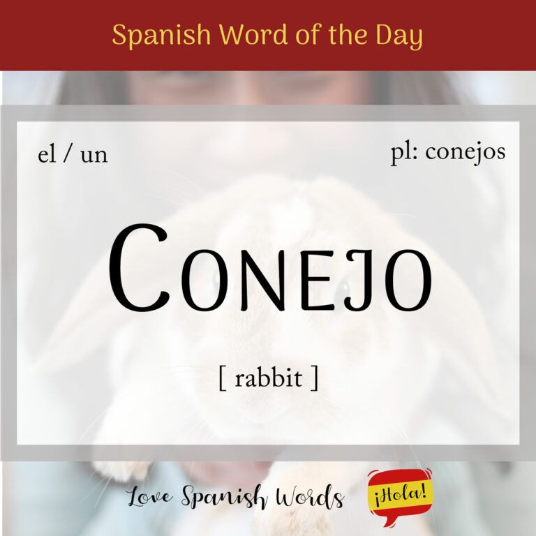 Spanish Word of the Day: Conejo (rabbit) - Love Spanish Words