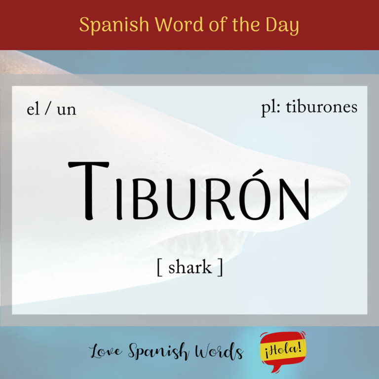 Spanish Word of the Day: Tiburón (shark) - Love Spanish Words