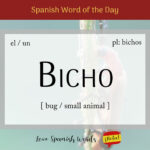 Spanish Word of The Day - Bicho (bug / small animal) - Love Spanish Words