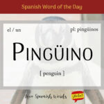 Spanish Word of the Day: Pingüino (penguin) - Love Spanish Words